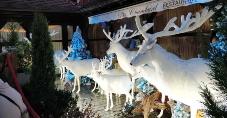 From Colmar: Christmas Markets Across 3 Borders - Transportation & Group Size