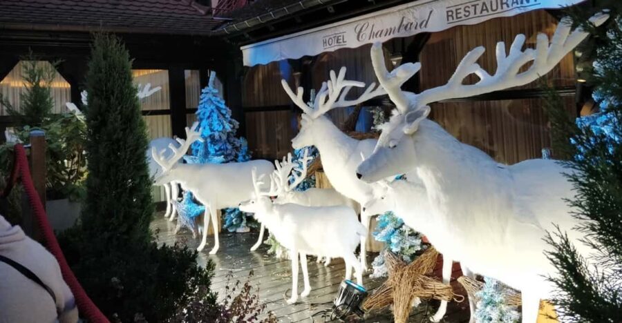 From Colmar: Christmas Markets Across 3 Borders - Transportation & Group Size