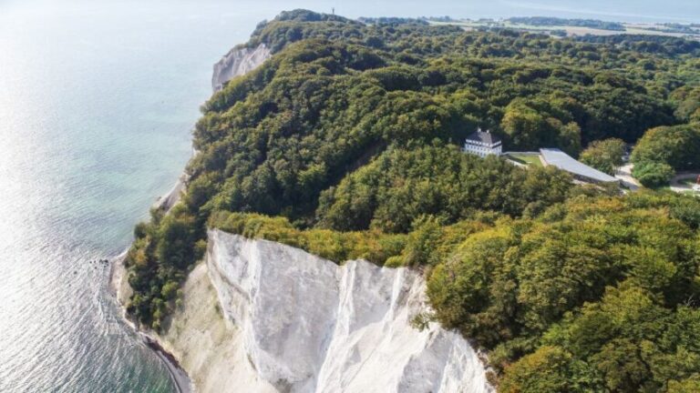 From Copenhagen: Round-Trip to Møns Klint and Forest Tower - Highlights and Authentic Experiences