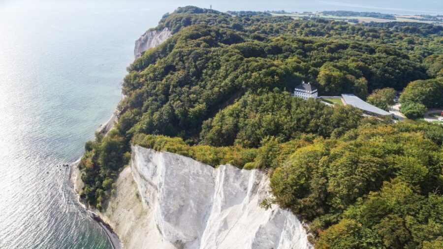 From Copenhagen: Round-Trip to Møns Klint and Forest Tower - Highlights and Authentic Experiences