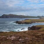 From Cork: Full-Day Guided Tour to Dingle Peninsula - Transport and Group Dynamics
