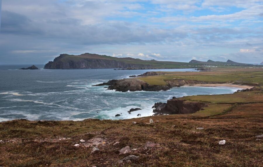From Cork: Full-Day Guided Tour to Dingle Peninsula - Transport and Group Dynamics