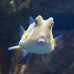 From Costa Brava: Barcelona Day Trip with Aquarium Visit - Analyzing the Value