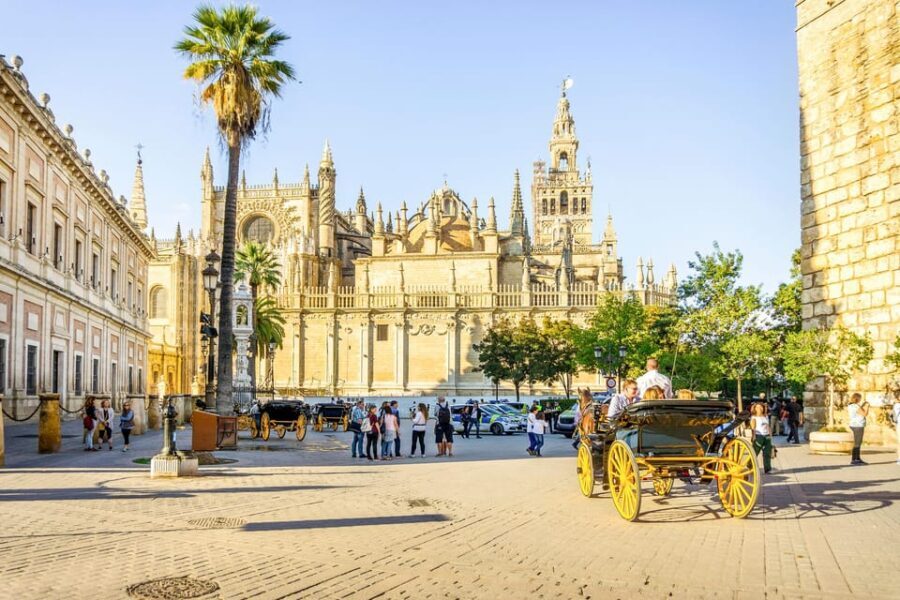 From Costa del Sol: Guided Tour of Seville - What Travelers Say