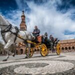 From Costa del Sol: Seville and Royal Alcázar Palace - What the Tour Includes and Excludes
