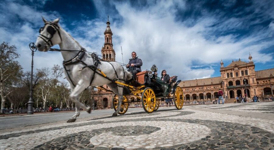 From Costa del Sol: Seville and Royal Alcázar Palace - What the Tour Includes and Excludes