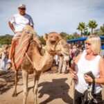 From Costa del Sol: Tangier Full-Day Tour by Ferry - What You Can Expect on This Tour