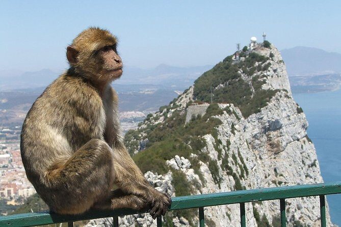 From Costa del Sol: The Gibraltar classic Rock tour - What’s Included and What’s Not