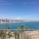 From Costa Dorada: Peñíscola and Ebro Delta Sightseeing Tour - Who Is This Tour Best For?