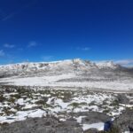 From Covilhã: Serra da Estrela Guided Tour with Lunch - Why This Tour Stands Out