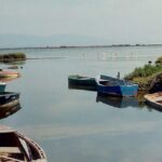 From Deltebre: Ebro Delta National Park Multi-Stop Day Trip - Why This Tour Works for Travelers
