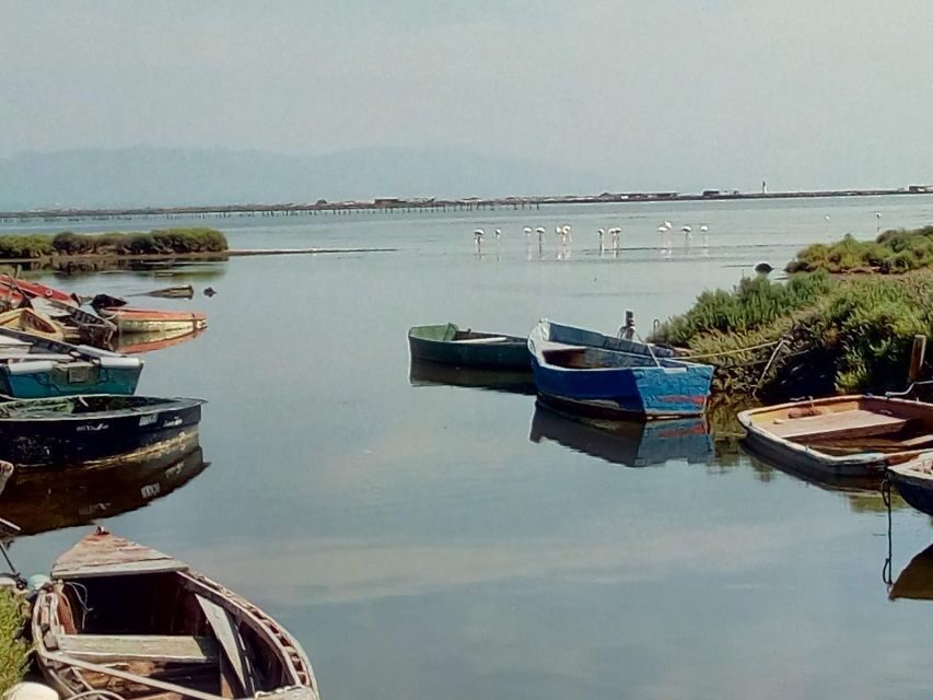 From Deltebre: Ebro Delta National Park Multi-Stop Day Trip - Why This Tour Works for Travelers