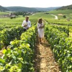 From: Dijon/Beaune: Burgundy Region Winery Tour with Lunch - Who Should Consider This Tour?