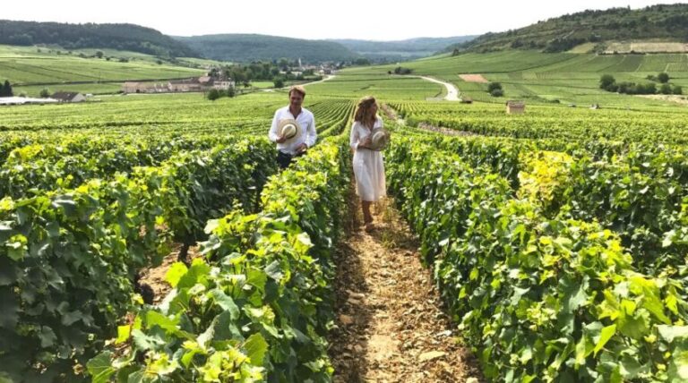 From: Dijon/Beaune: Burgundy Region Winery Tour with Lunch - Who Should Consider This Tour?