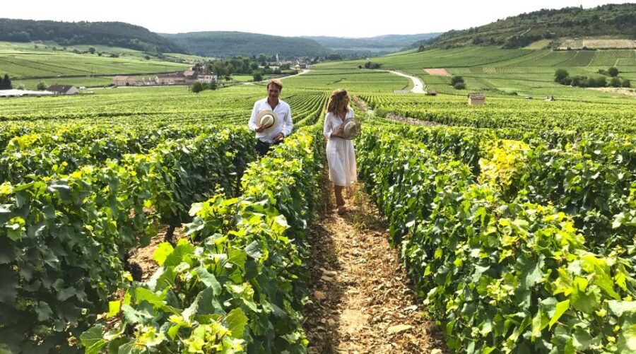 From: Dijon/Beaune: Burgundy Region Winery Tour with Lunch - Who Should Consider This Tour?