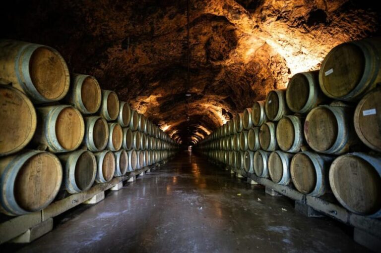 From Dijon: Burgundy Villages and Wine Tasting Tour - Discover Burgundy’s Villages and Vineyards