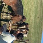 From Doolin: Cliffs of Moher Guided Coastal Walk - Why Travelers Love It