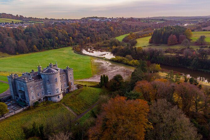 From Dublin: Private Tour to Hill of Tara, Trim Castle and more - What the Reviews Say: Authentic Feedback