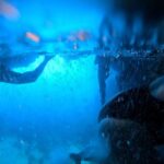 From Dubrovnik/Cavtat: Blue Cave, Sunj Beach Speed Boat Tour - Itinerary in Detail: What to Expect