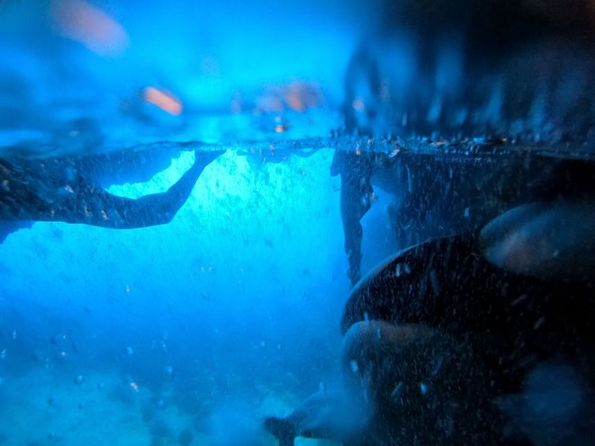 From Dubrovnik/Cavtat: Blue Cave, Sunj Beach Speed Boat Tour - Itinerary in Detail: What to Expect