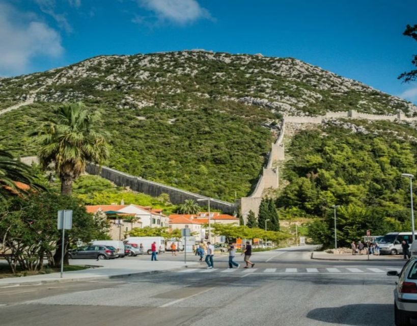 From Dubrovnik: Full-Day Tour to Ston & Oyster Tasting - Why This Tour Is a Great Choice