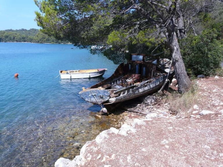 From Dubrovnik: Mljet Island Guided Catamaran Day Tour - Whats the Value?