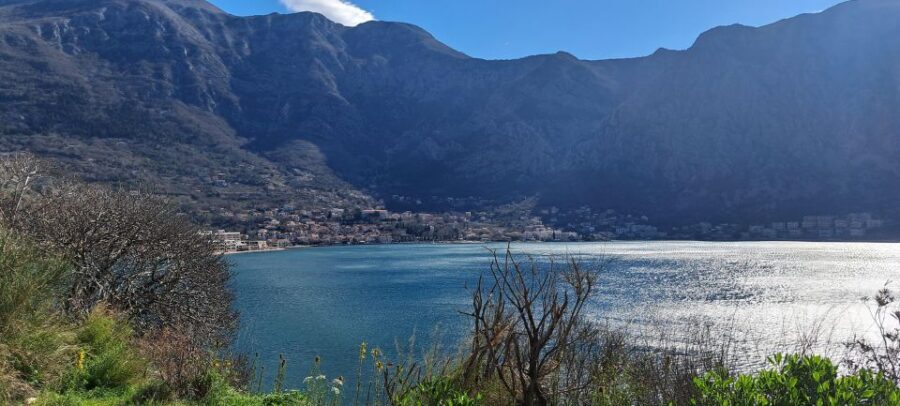 From Dubrovnik: Montenegro Full-Day Tour - An In-Depth Look at the Montenegro Day Trip