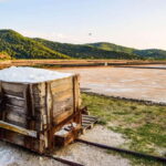 From Dubrovnik: Panorama Views, Ston Town and Saltworks - An In-Depth Look at the Tour Experience