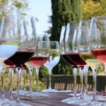 From Dubrovnik: Private Day Trip to Ston & Korula & wine - Who Will Appreciate This Tour?