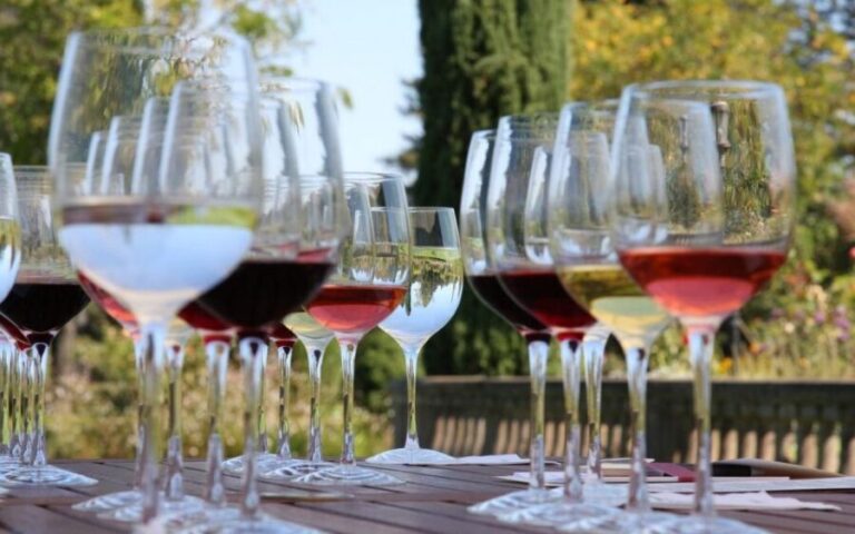 From Dubrovnik: Private Day Trip to Ston & Korula & wine - Who Will Appreciate This Tour?