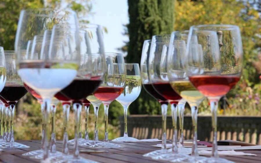 From Dubrovnik: Private Day Trip to Ston & Korula & wine - Who Will Appreciate This Tour?