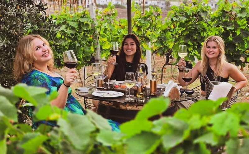 From Durres: Countryside Vineyards Wine & Food Tasting Tour - An Overview of the Experience