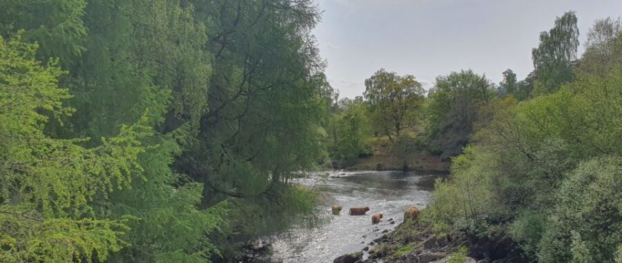 From Edinburgh: a Private Tour to a Majestic Highland Glen - Exploring Glen Lyon and the Highland Riches