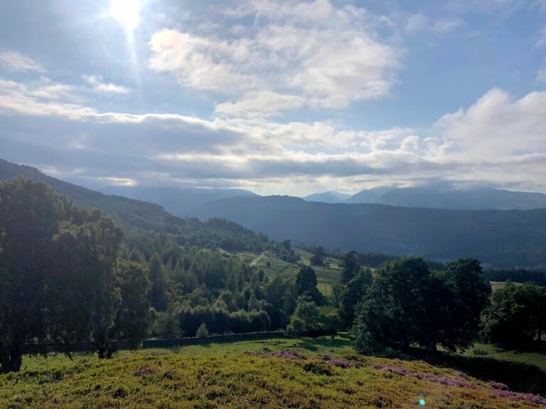 From Edinburgh: A Taste of the Highlands Private Tour - Why This Tour Works for Different Travelers
