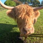 From Edinburgh: Highlands Land Rover Camping Adventure - Key Points