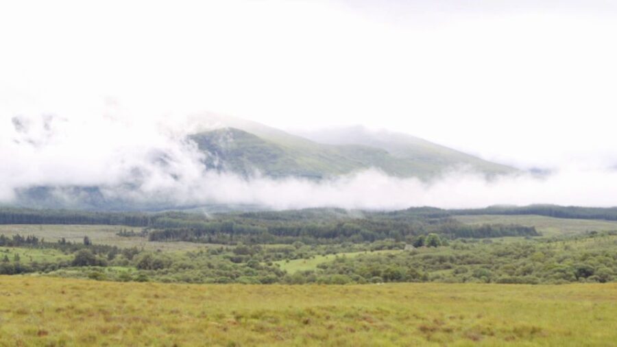 From Edinburgh: Loch Ness and Highlands Tour in Spanish - Making Sense of the Value