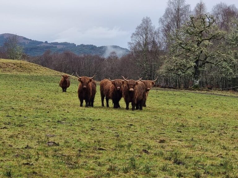 From Edinburgh: Loch Ness Private Day Tour with Transfers - The Full Itinerary: What Makes Each Stop Special