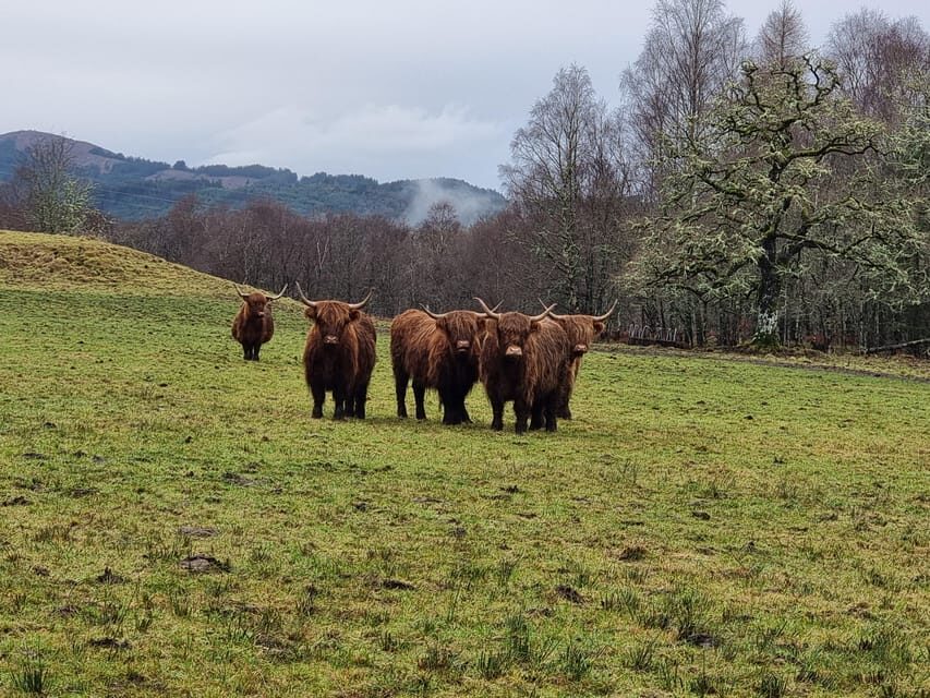 From Edinburgh: Loch Ness Private Day Tour with Transfers - The Full Itinerary: What Makes Each Stop Special