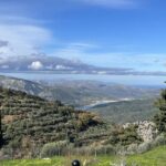 From Elounda Cretan Lasithi Plateau, Zeus Cave, Oldest Tree - Why This Tour Provides Great Value