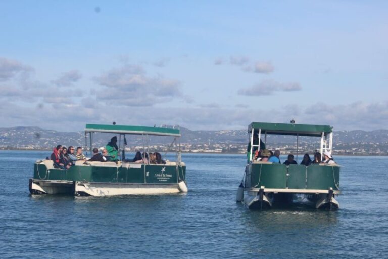 From Faro: 4 Stops, 3 Islands in Ria Formosa Catamaran Tour - Value and Practical Considerations