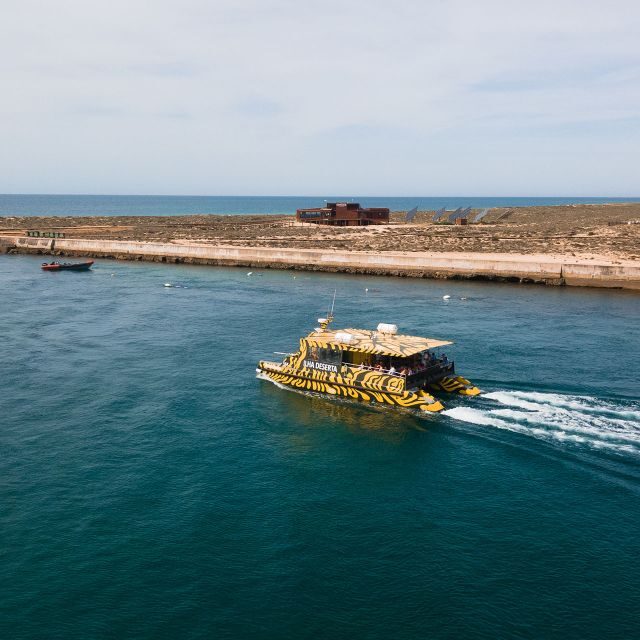 From Faro: Catamaran Boat Trip to Deserta Island with Stop - The Itinerary in Detail