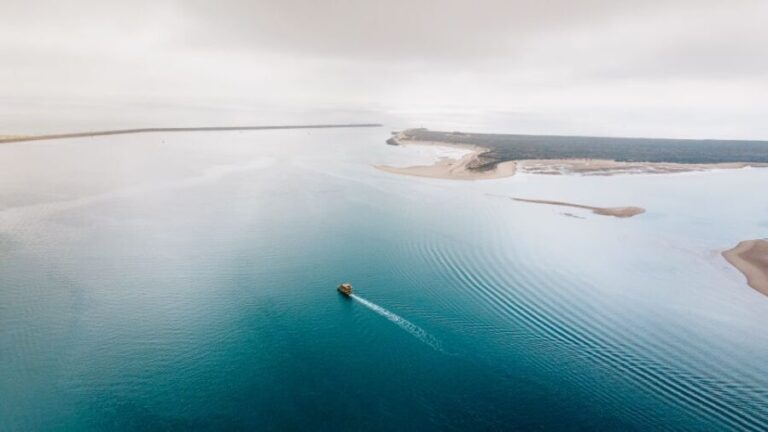 From Faro: Ria Formosa Eco Tour guided by Marine Biologist - The Itinerary in Detail