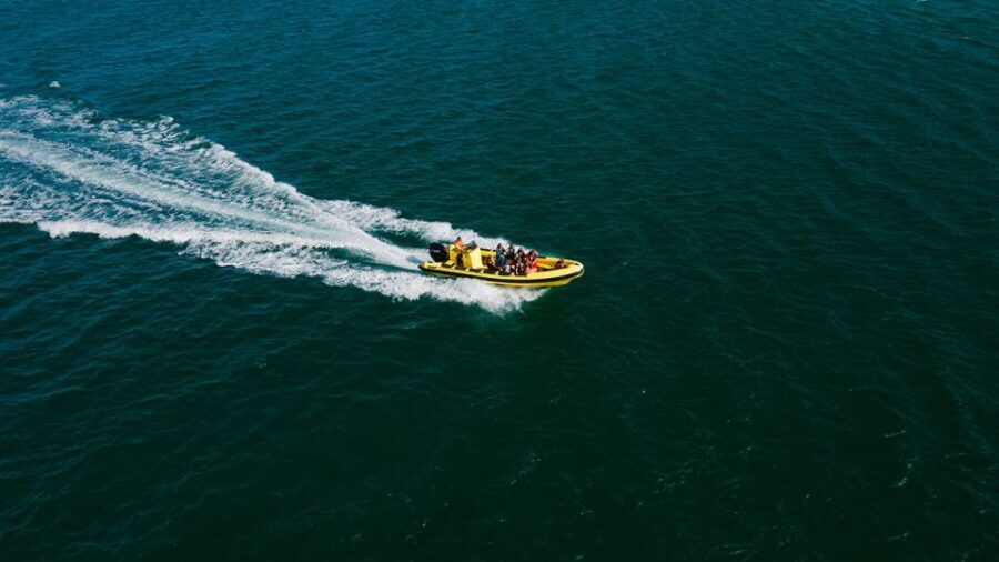 From Faro: Ria Formosa Hop-On Hop-Off 3 Islands Cruise - Exploring the Ria Formosa Islands: A Practical Breakdown