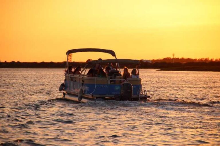 From Faro: Ria Formosa Sunset Boat Trip - An In-Depth Look at the Ria Formosa Sunset Boat Trip