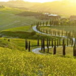 From Firenze | Chianti day trip in a classic car - Experience and Value