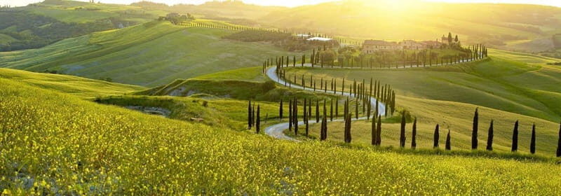 From Firenze | Chianti day trip in a classic car - Experience and Value