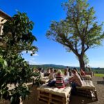 From Florence: Chianti Half-Day Afternoon Tour - Final Thoughts: Who Will Love This Tour?