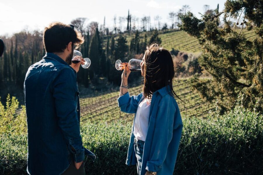From Florence: Chianti Hills Half-Day Tour with Wine Tasting - Authenticity & Experience: What You’ll Really Get