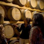 From Florence: Chianti, Montalcino & Montepulciano - Minivan - Top Highlights of the Tour