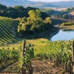 From Florence: Chianti Wine Tastings at Sunset Day Trip - The Significance of the Scenic Drive and Sunset